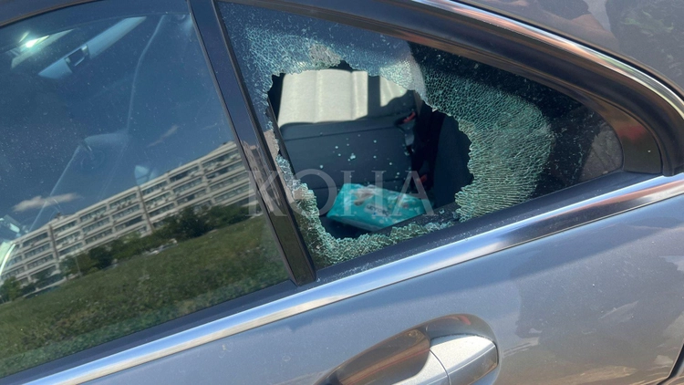 Teksa po mbante aksionin para MINT-it, kryetares së rinisë të PDK-së i ... Teksa po mbante aksionin para MINT-it, kryetares së rinisë të PDK-së i ...