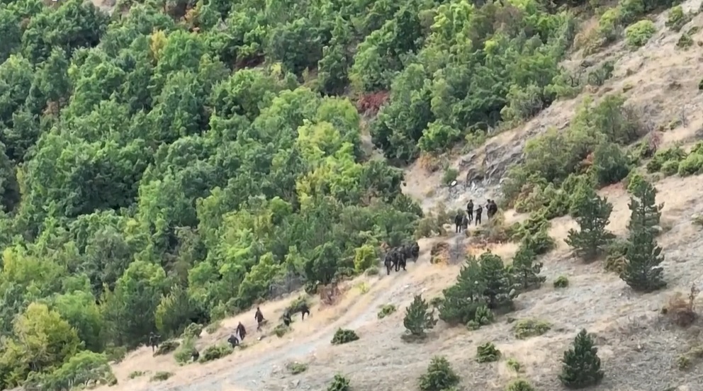 EKSKLUZIVE: Momenti kur sulmuesit serbë ikin maleve nga autoritetet e ... EKSKLUZIVE: Momenti kur sulmuesit serbë ikin maleve nga autoritetet e ...