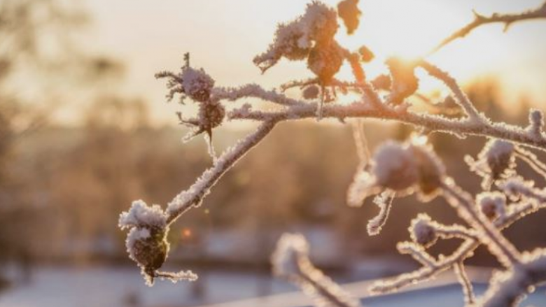 Parashikimi i motit – Tetova Sot