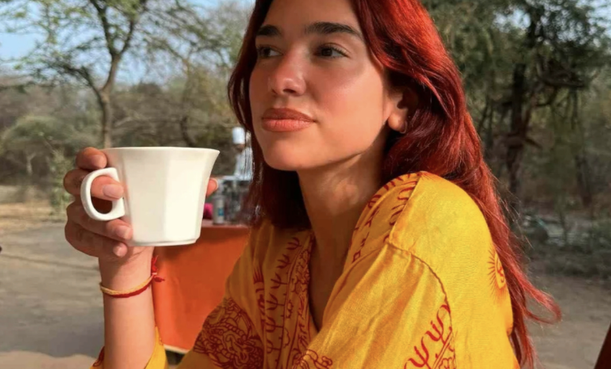 Doli në mbrojte të Gazës, Dua Lipa: Është vendim i madh, jam përgatitur ...