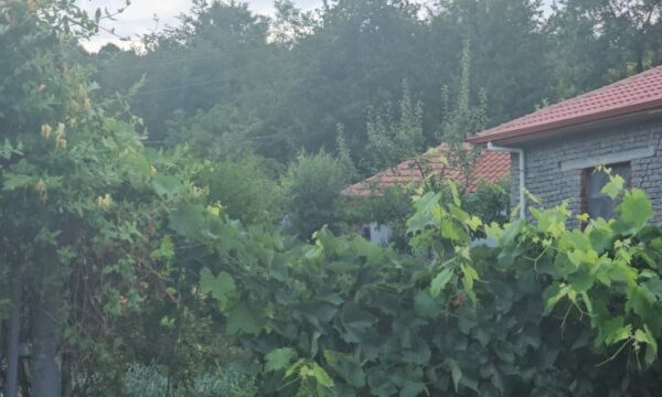Babai plagos të birin me armë gjahu në Pogradec, 47-vjeçari në gjendje ... Babai plagos të birin me armë gjahu në Pogradec, 47-vjeçari në gjendje ...