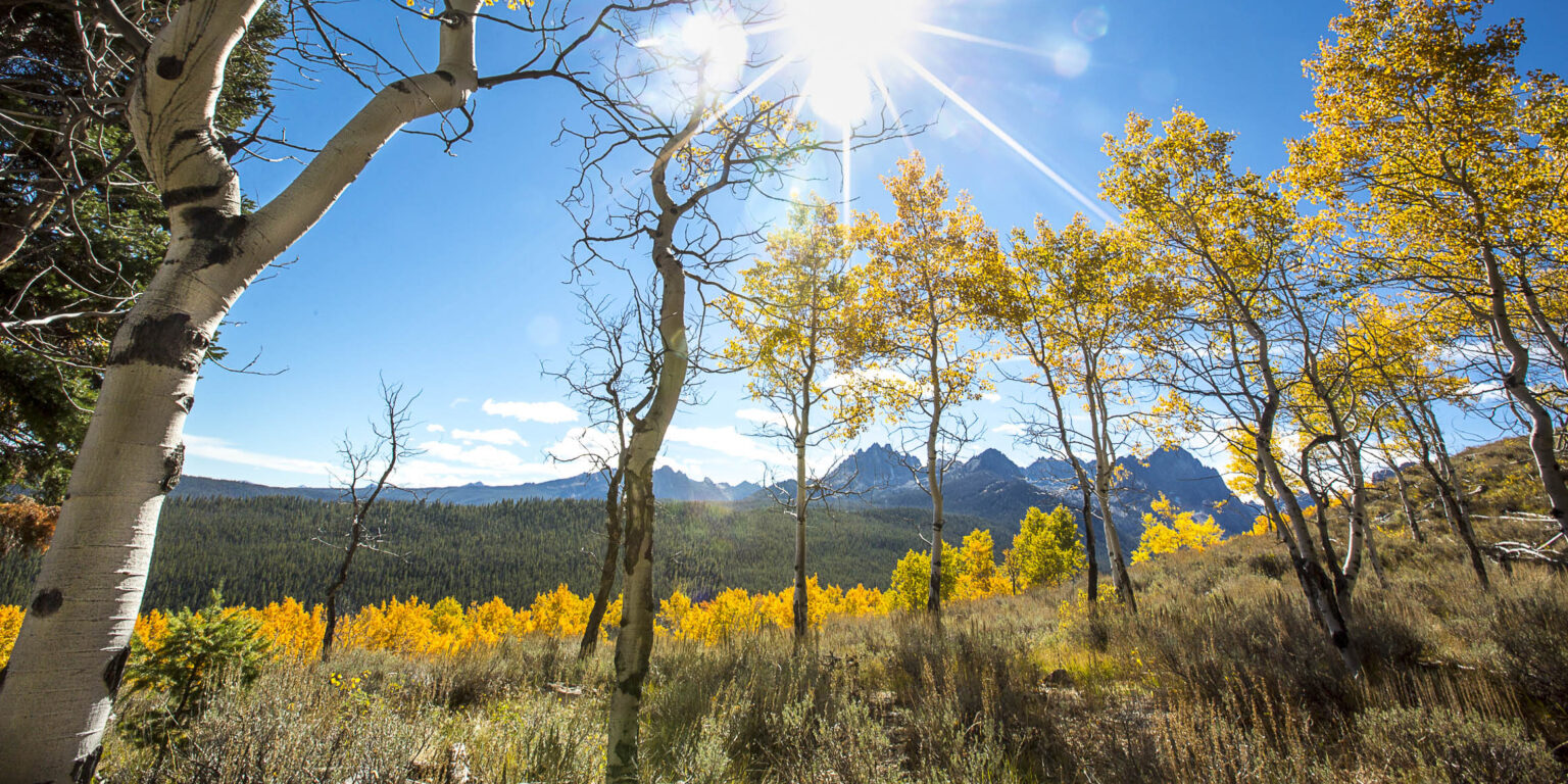 Muaji tetor pritet të jetë i ngrohtë me temperatura deri më 30 gradë ...