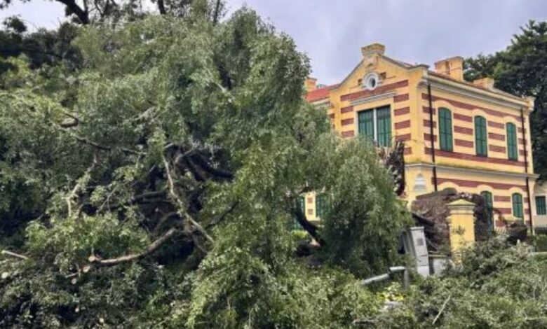 Vietnam, shkon në 82 numri i të vdekurve nga tajfuni Yagi (VIDEO ...