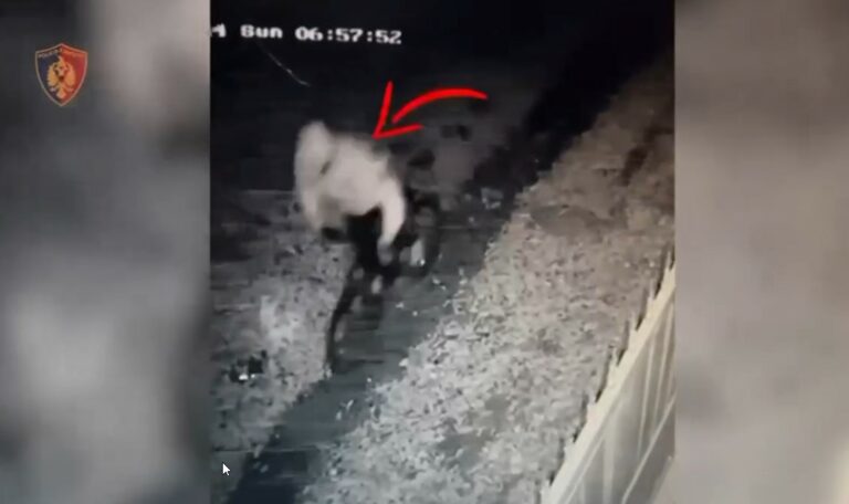 Vrasja e 33-vjeçarit: Kamerat fiksuan autorin me biçikletë, arma u gjet ...